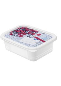 Rotho Kunststoff AG Rotho DOMINO Gefrierdosen Set, Geräumige Frischhaltedosen zum Aufbewahren von Lebensmittel, Füllmenge: 500 ml, 4-teilig