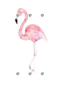 queence Garderobenleiste »Flamingo«, mit 6 Haken, 50 x 120 cm, bunt|rosa