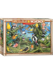 Empireposter Puzzle »Bunte Vogelwelt