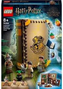Lego Harry Potter, Hogwarts Moment: Kräuterkundeunterricht (76384, Harry Potter), Gebäude