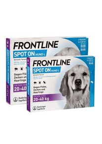 Frontline Spot-on gegen Zecken und Flöhe bei Hund 40kg