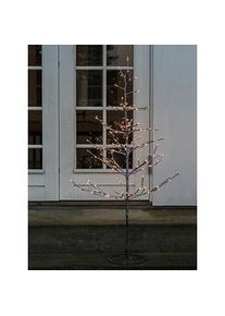 LED-Lichterbaum Alex Tree Sirius braun, 180 cm