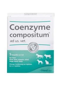 Heel Coenzyme Compositum ad us.vet.Ampullen 5X5 ml
