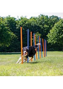 Trixie Dog Activity Agility Slalom Stangen