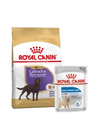 Royal Canin Labrador Retriever Sterilised 12kg + LIGHT WEIGHT CARE Mousse 12x85g