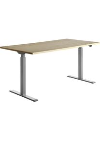 Topstar Schreibtisch, elektrisch höhenverstellbar, BxT 1600 x 800 mm, Platte Ahorn-Dekor, Gestell grau