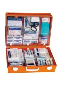 Holthaus Medical GmbH & Co. KG Holthaus Medcial Erste-Hilfe-Koffer MULTI, orange, Hochwertiger Verbandkoffer aus schlagfestem ABS-Kunststoff, 1 Koffer mit Inhalt nach DIN 13169 erweitert