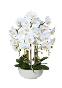 Kunstpflanze Orchidee Globen Lighting Weiß