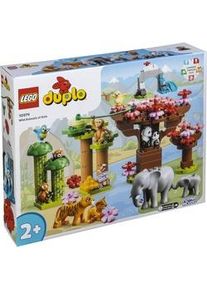 Lego Duplo 10974 Wilde Tiere Asiens