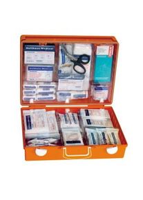 Holthaus Medical GmbH & Co. KG Holthaus Medical Erste-Hilfe-Koffer MULTI, orange, Hochwertiger Verbandkoffer aus schlagfestem ABS-Kunststoff, 1 Koffer mit Inhalt angelehnt an DIN 131569