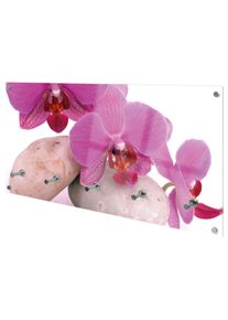 Banjado® Wandgarderobe aus Echtglas/Design Garderobe 80x40x6 cm groß/Flurgarderobe mit 5 Haken/Magnetisches Garderobenpaneel Motiv Orchidee