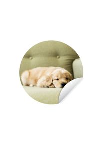 MuchoWow Wandsticker »Ein schlafender Golden Retriever Welpe auf dem Sofa