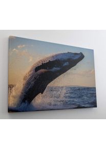 DesFoli Fotografie Wal Meer Tier Leinwand Canvas Bild Wandbild Kunstdruck L1808 Größe 150 cm x 100 cm
