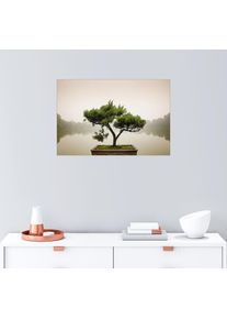 Posterlounge Wandbild, Japanischer Bonsai im Zen-Garten