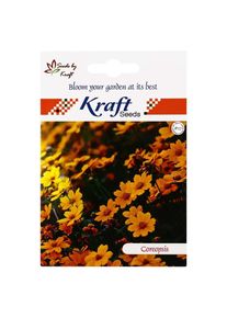 Generic Coreopsis Sunray (3 in 1 Combo, 20 seeds per packet x 3) Flower Seeds By Seeds Patio