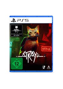 Skybound Games Stray PlayStation PS5