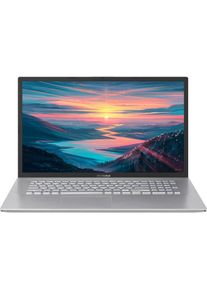 ASUS VivoBook 17,3 Zoll HD+ Laptop, dünner und leichter Laptop, Intel Core i5-1035G1 Prozessor, HD-Webcam, HDMI, Wi-Fi 5, Bluetooth, Transparent Silber, Windows 11 (20GB RAM | 1TB SDD)