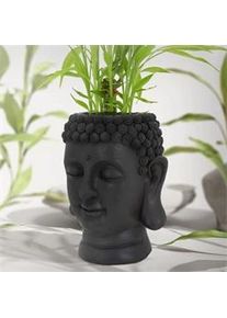 ML-Design Pflanztopf Buddha Kopf 19x20x34 cm Anthrazit aus Polyresin
