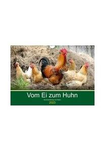 Calvendo Vom Ei zum Huhn. Die Entwicklung von Küken (Wandkalender 2023 DIN A4 quer)