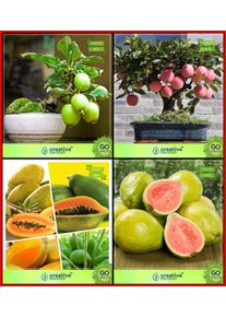 Generic Fruit Seeds Combo Bonsai Suitable : Lemon Guava, Apple, Papaya, Thailand Guava Bonsai SuitableFor Gardening