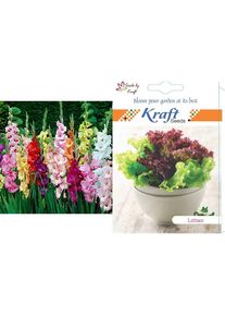 Generic Seeds Gate Garden Gladiolus Flower Bulbs (Multicolour, Pack of 15) & LETTUCE ICEBERG IMPROVED QUALITY SEEDS BY SEEDS Combo