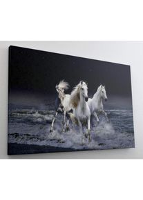 DesFoli Pferde Meer Dunkel Horse Tier Leinwand Bild Wandbild Kunstdruck L0478 Größe 100 cm x 70 cm