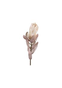 Chic Antique Fleur Protea Kunstblume, H53 cm, creme