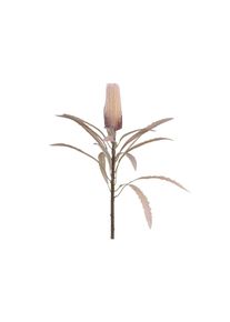 Chic Antique Fleur Protea, H64 cm, creme