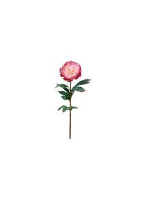 Chic Antique Fleur Pfingstrose, H74 cm, rosa