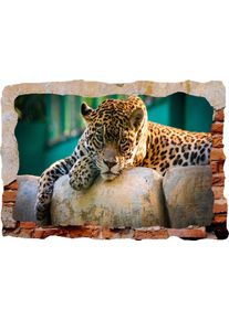 Wandtattoo Tiger Animal Jungle 3d Smashed Wall View Sticker Poster Vinyl 89 HOME DECOR 50x70CM