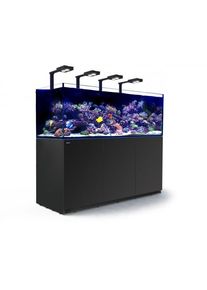 Red Sea REEFER Deluxe XXL 750 Complete Meerwasser-Aquarium mit Unterschrank schwarz