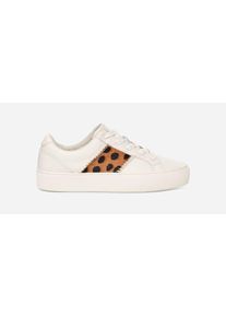 UGG Australia UGG Dinale Cheetah Print Sneaker in White, Größe 37.5