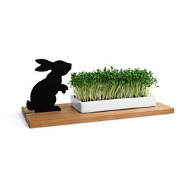 Side By Side Kresseschale smart 'n' green, Hase, inkl. Kressesamen