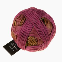Gradient von Schoppel Wolle, Kichererbse, aus Schurwolle