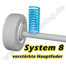 Mad Verst&auml;rkte Federn Honda Civic IX (FK)