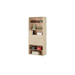 Regal Multischrank-System - holzfarben - 80 cm - 185 cm - 40 cm - Sconto