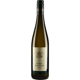 Weingut Domhof Domhof 2022 Grauer Burgunder Guntersblum ORTSWEIN trocken