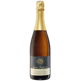 Weingut Hoffmann Hoffmann CREMANT "Blanc de Noir" aus Pinot Noir (Spätburgunder) brut