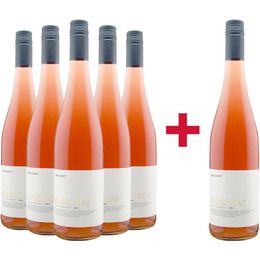 Weingut Karl May Karl May 2019 5+1 RosaRot Rosé trocken BIO Paket