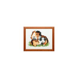 buttinette Stickbild "Meerschweinchen", 17 x 13 cm