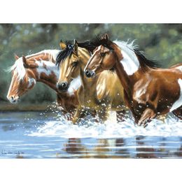 buttinette Malen nach Zahlen mit Acrylfarben "Pferde", 40 x 30 cm