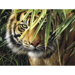buttinette Malen nach Zahlen mit Acrylfarben "Tiger", 40 x 30 cm