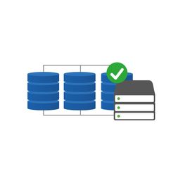 SONSTIGE RAID Service - RAID 50