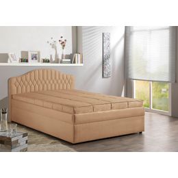Polsterbett Maintal, braun (karamell), B:150cm, Betten