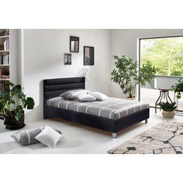 Polsterbett, schwarz, B:150cm L:210cm, Bezug: Microvelours (100% Polyester);Bonnell-Federkern-Matratzenbezug: 100% Polyester;Kaltschaum-Matratzenbezug: Frottee 100% Polyester, Bezug abnehm- und waschbar bis 60C, Westfalia Schlafkomfort, Betten, Polsterbett