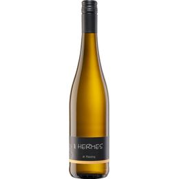 Gut Hermes 2021 Kröv Steffensberg Riesling "α" trocken