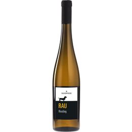 Sandwiese 2020 Ruppertsberger Reiterpfad Riesling trocken