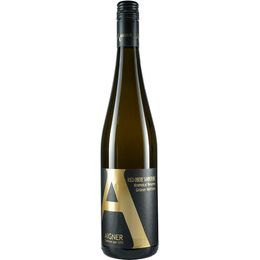 Aigner 2021 Ried Obere Sandgrube Grüner Veltliner "Privat" DAC trocken