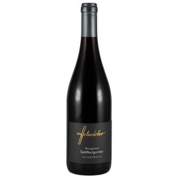Weingut Helmstetter "Passion" Spätburgunder 2016 Trocken - Bürgstadter Hundsrück Franken – Rotwein Qualitätswein