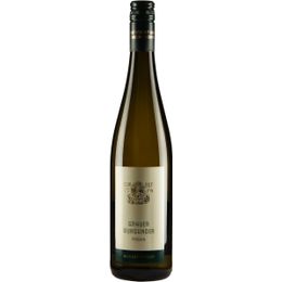 Weingut Domhof Grauer Burgunder Guntersblum ORTSWEIN Grauburgunder 2022 Trocken - Rheinhessen – Weißwein Qualitätswein